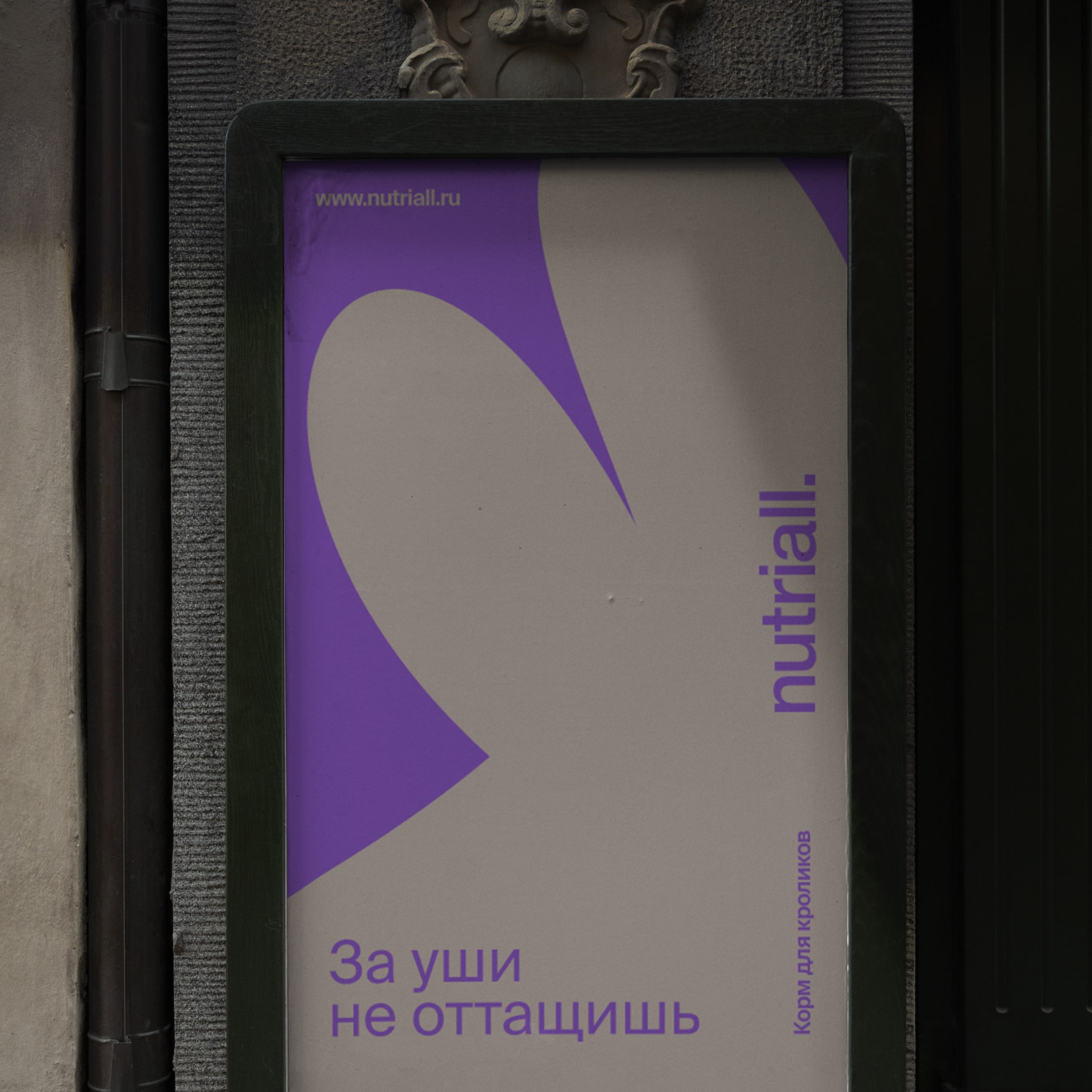 Айдентика для бренда здорового корма Nutriall