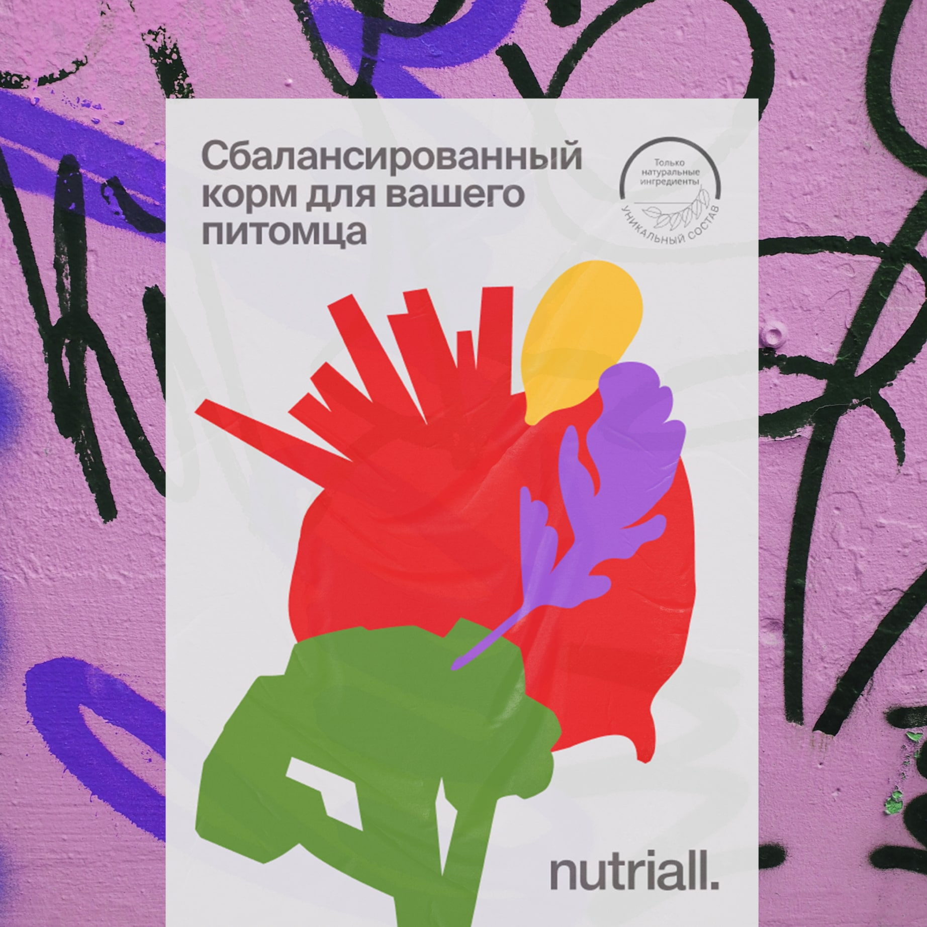 Айдентика для бренда здорового корма Nutriall